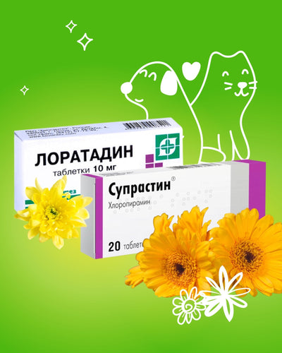No-Spa for Spasm and Pain Relief – USA Apteka