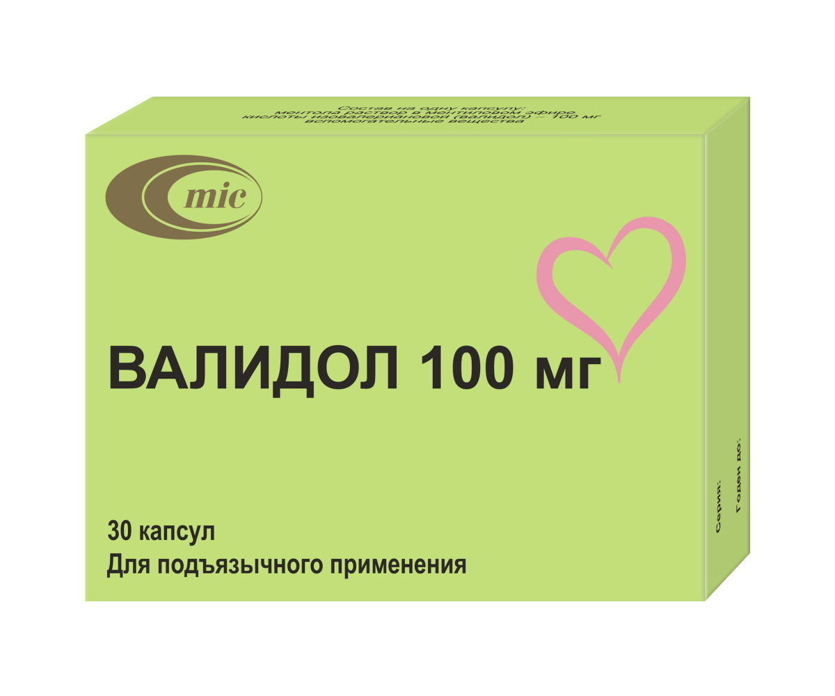 Validol 100 mg 30 pcs – USA Apteka